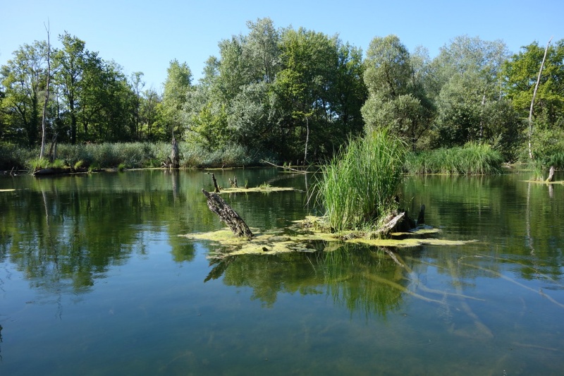 Commune de Sermersheim